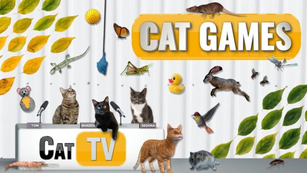CAT Games | Ultimate Cat TV Compilation Vol 76 | 2 HOURS 🐝🐞🦋🦎🦜🐜🐭🧵 | CAT TV
