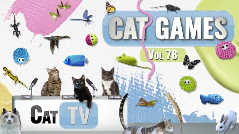CAT Games | Ultimate Cat TV Compilation Vol 78 | 4 HOURS 🐝🐞🦋🦎🦜🐜🐭🧵 | CAT TV