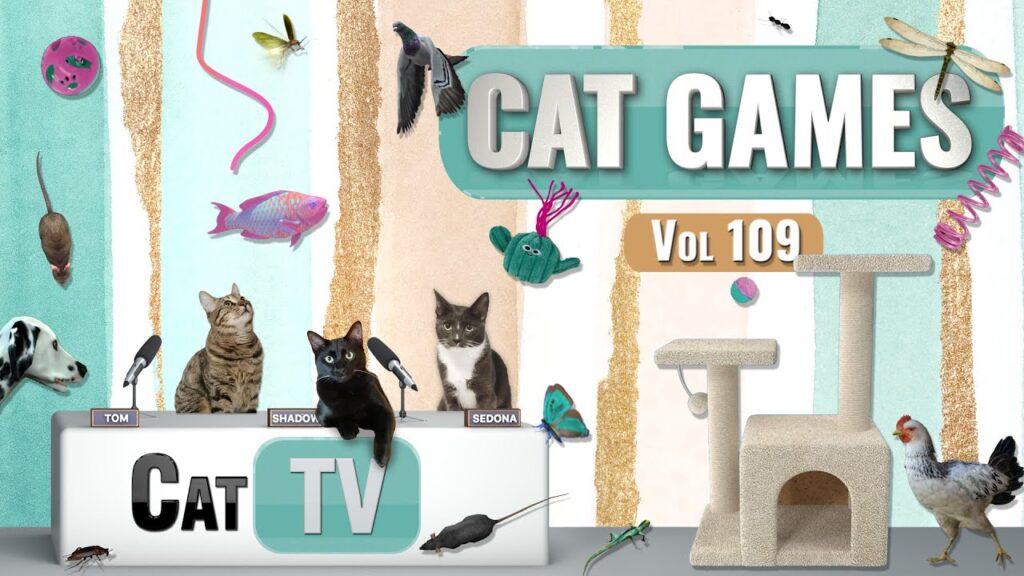 Videos For Cats to Watch Archives | CAT TV