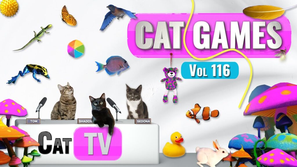 Videos For Cats to Watch Archives | CAT TV
