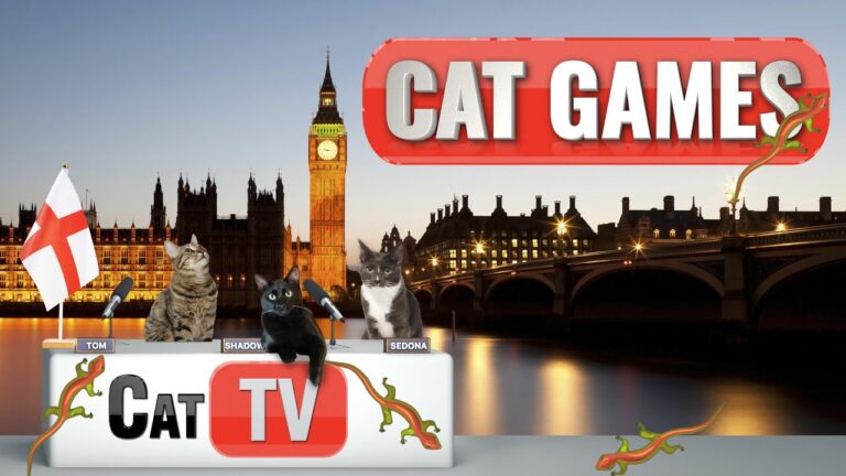 Cat Games | 🦎 Larry the Lizard Explores in England! 🏴󠁧󠁢󠁥󠁮󠁧󠁿 | Video for ...