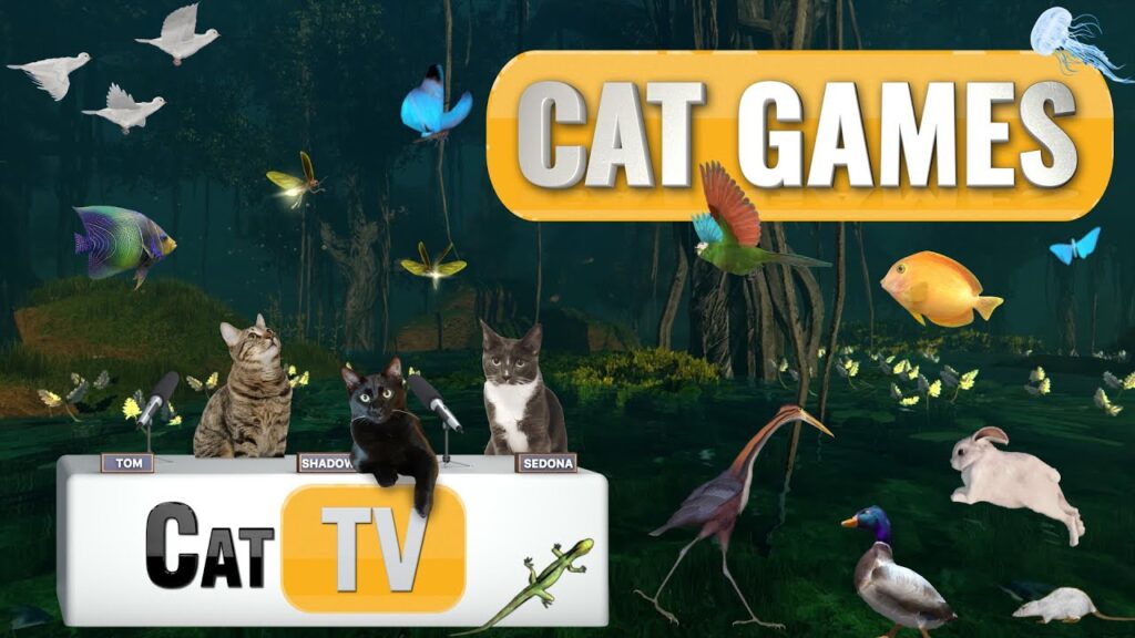 Videos For Cats to Watch Archives | CAT TV