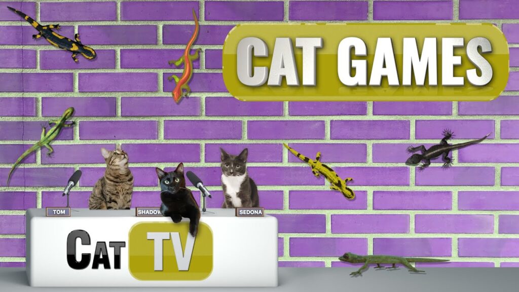Cat Games | 🦎 Lizards GALORE! | Cat TV Lizards | 4 hours | CAT TV