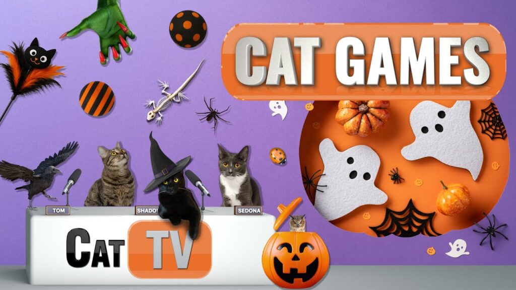 Videos For Cats To Watch | CAT TV