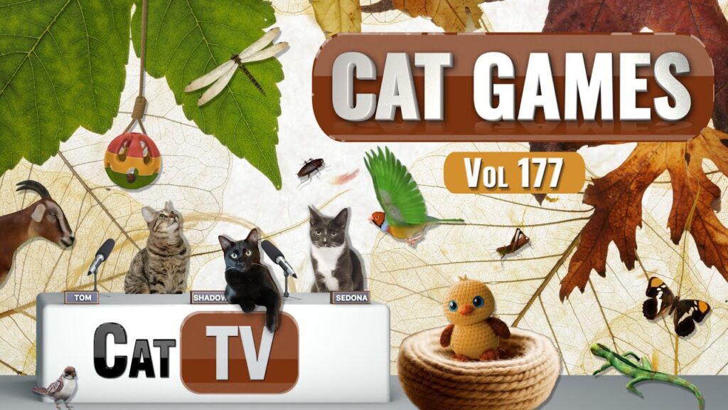 Videos For Cats to Watch Archives | CAT TV