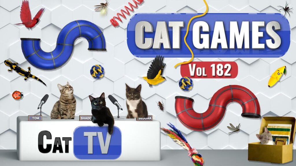 Videos For Cats To Watch | CAT TV
