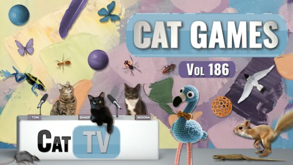 CAT Games | Ultimate Cat TV Compilation Vol 186 | 8 HOURS 🐝🐞🦋🦎🦜🐜🐭🧵 | CAT TV