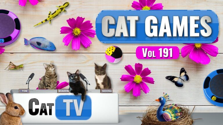 CAT Games | Ultimate Cat TV Compilation Vol 191 | 8 HOURS 🐝🐞🦋🦎🦜🐜🐭🧵 | CAT TV