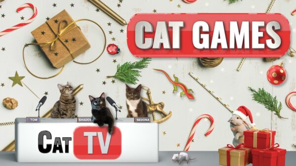 Videos For Cats to Watch Archives | CAT TV