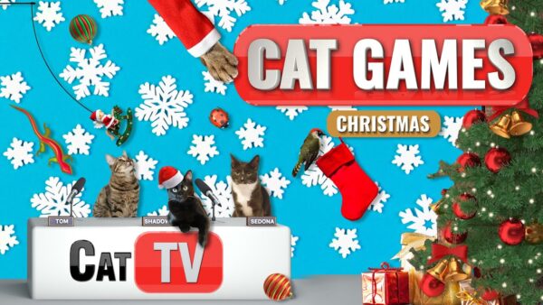 Videos For Cats to Watch Archives | CAT TV