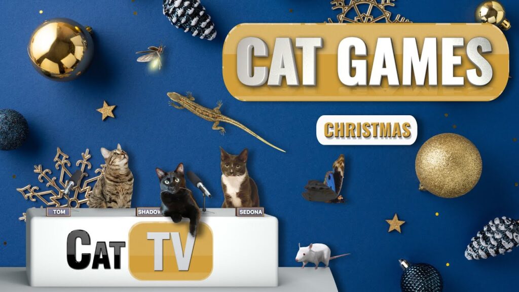 Videos For Cats to Watch Archives | CAT TV