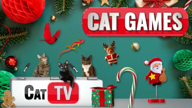 🎄 Christmas Cat Games | Ultimate Cat TV Compilation 🎁 | 8 Hours of Cozy ...