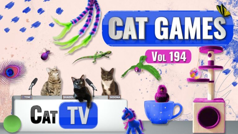 CAT Games | Ultimate Cat TV Compilation Vol 194 | 8 HOURS 🐝🐞🦋🦎🦜🐜🐭🧵 | CAT TV