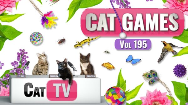 Home | CAT TV