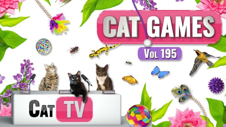 CAT Games | Ultimate Cat TV Compilation Vol 195 | 8 HOURS 🐝🐞🦋🦎🦜🐜🐭🧵 | CAT TV