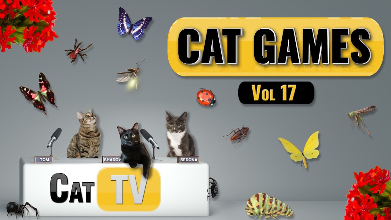 CAT Games | Ultimate Cat TV Bugs and Butterflies Compilation Vol 17 🪲 🐞 ...
