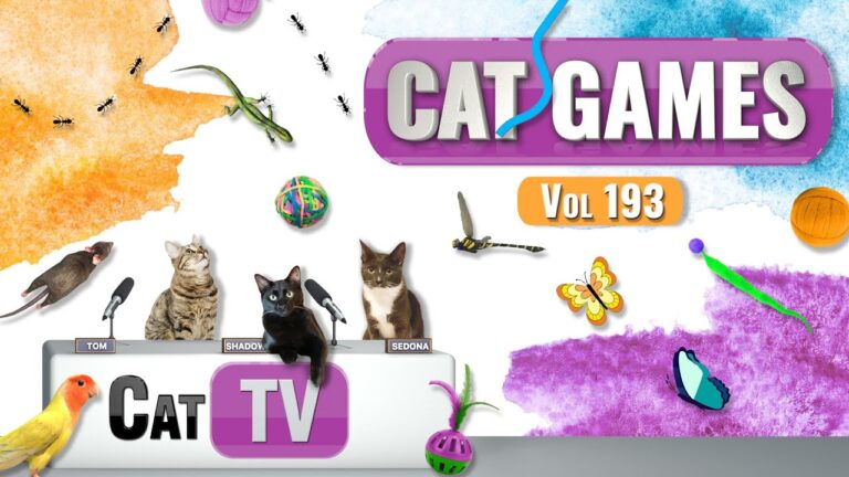 CAT Games | Ultimate Cat TV Compilation Vol 193 | 8 HOURS 🐝🐞🦋🦎🦜🐜🐭🧵 | CAT TV