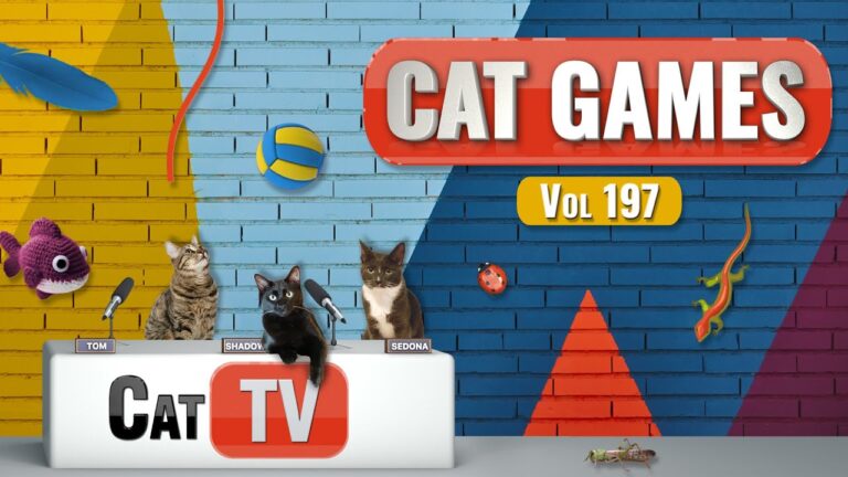 CAT Games | Ultimate Cat TV Compilation Vol 197 | 8 HOURS 🐝🐞🦋🦎🦜🐜🐭🧵 | CAT TV