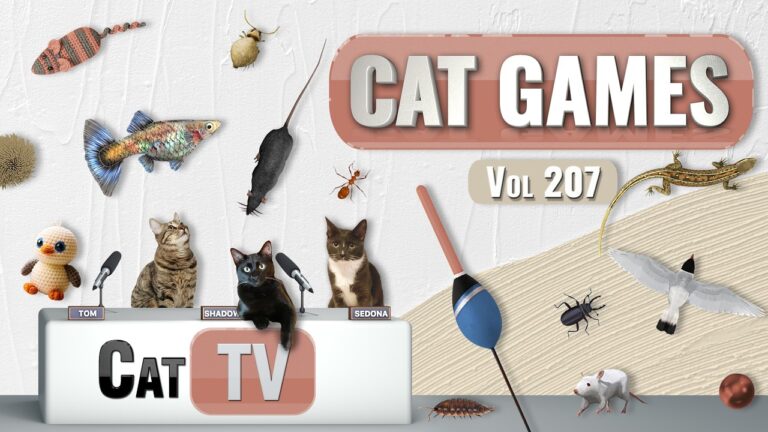 CAT Games | Ultimate Cat TV Compilation Vol 207 | 8 HOURS 🐝🐞🦋🦎🦜🐜🐭🧵 | CAT TV