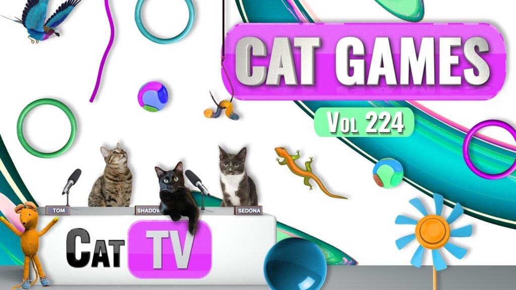CAT Games | Ultimate Cat TV Compilation Vol 224 | 8 HOURS 🐝🐞🦋🦎🦜🐜🐭🧵 | CAT TV
