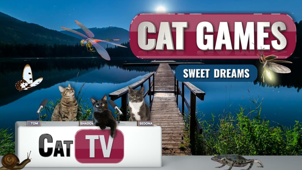CAT GAMES | 🌙 Sweet Dreams | Dark Screen Videos for Cats to Sleep ...