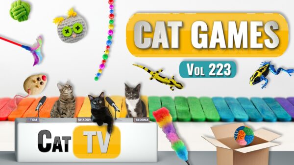 CAT Games | Ultimate Cat TV Compilation Vol 223 | 8 HOURS 🐝🐞🦋🦎🦜🐜🐭🧵 | CAT TV
